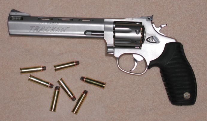 Best .44 Magnum Ammo For Target Shooting & Self-Defense